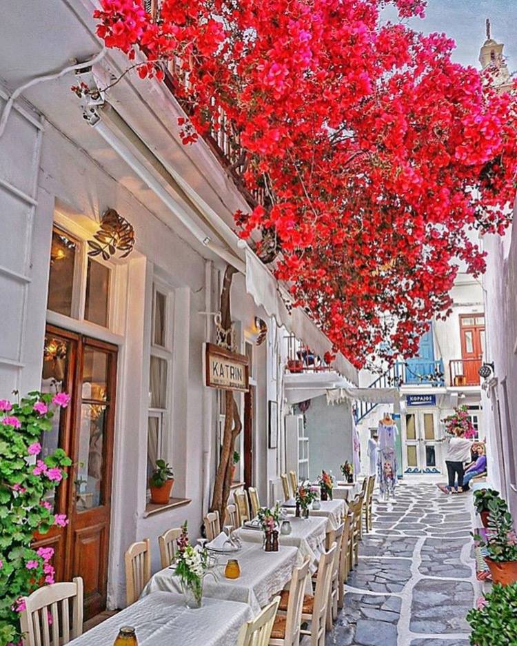 Εστιατόριο Μύκονος 1 | La Maison de Katrin