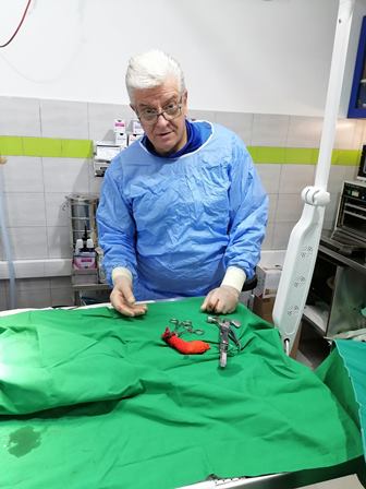 Κτηνιατρείο Κλούβας Μυκόνου 1 | Mykonos Vet