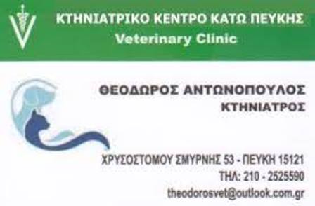 Κτηνίατρος Πεύκη 1 | Vet Clinic